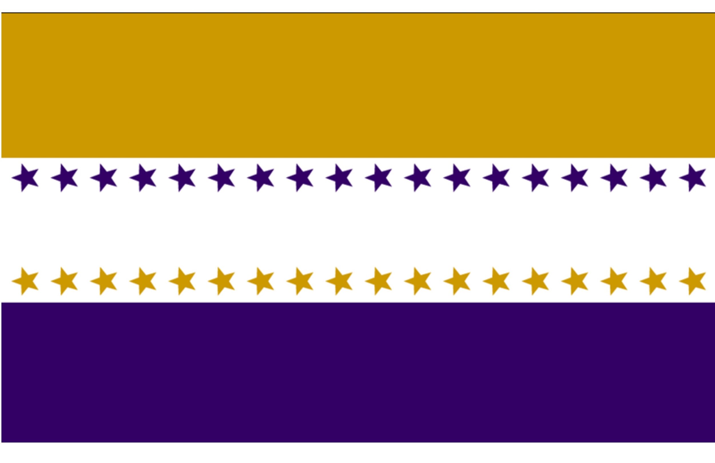 Suffragettes Flag